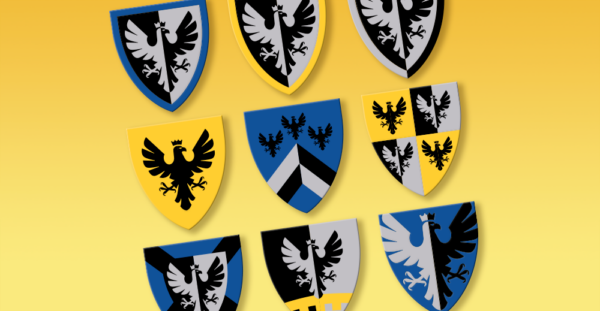 Black Falcon shields – HarrisBricks